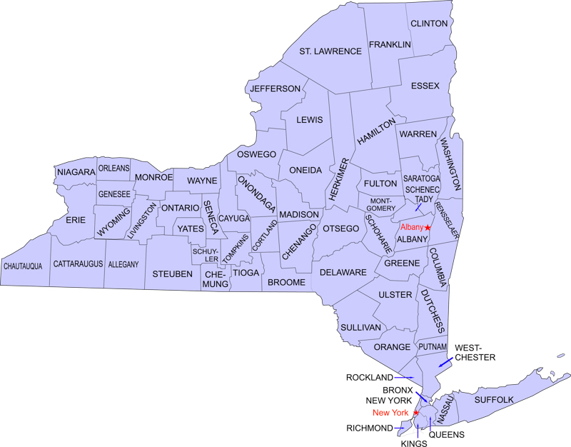 New York Genealogy and Ancestry Resources - Pat Burns